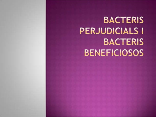 Bacteris perjudicials i bacteris beneficiosos | PPTX