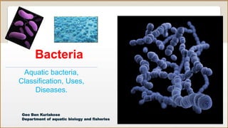 bactreria 2 (1).pptx