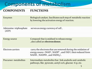 bactrerialmeeeeeeeeeeeeeeetabolism-.pptx