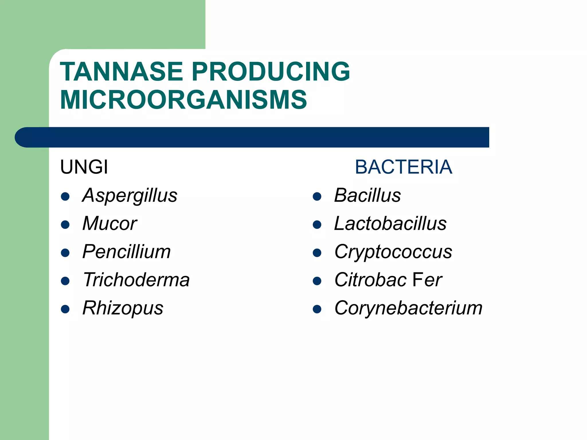 bactria and fungi new.pptx