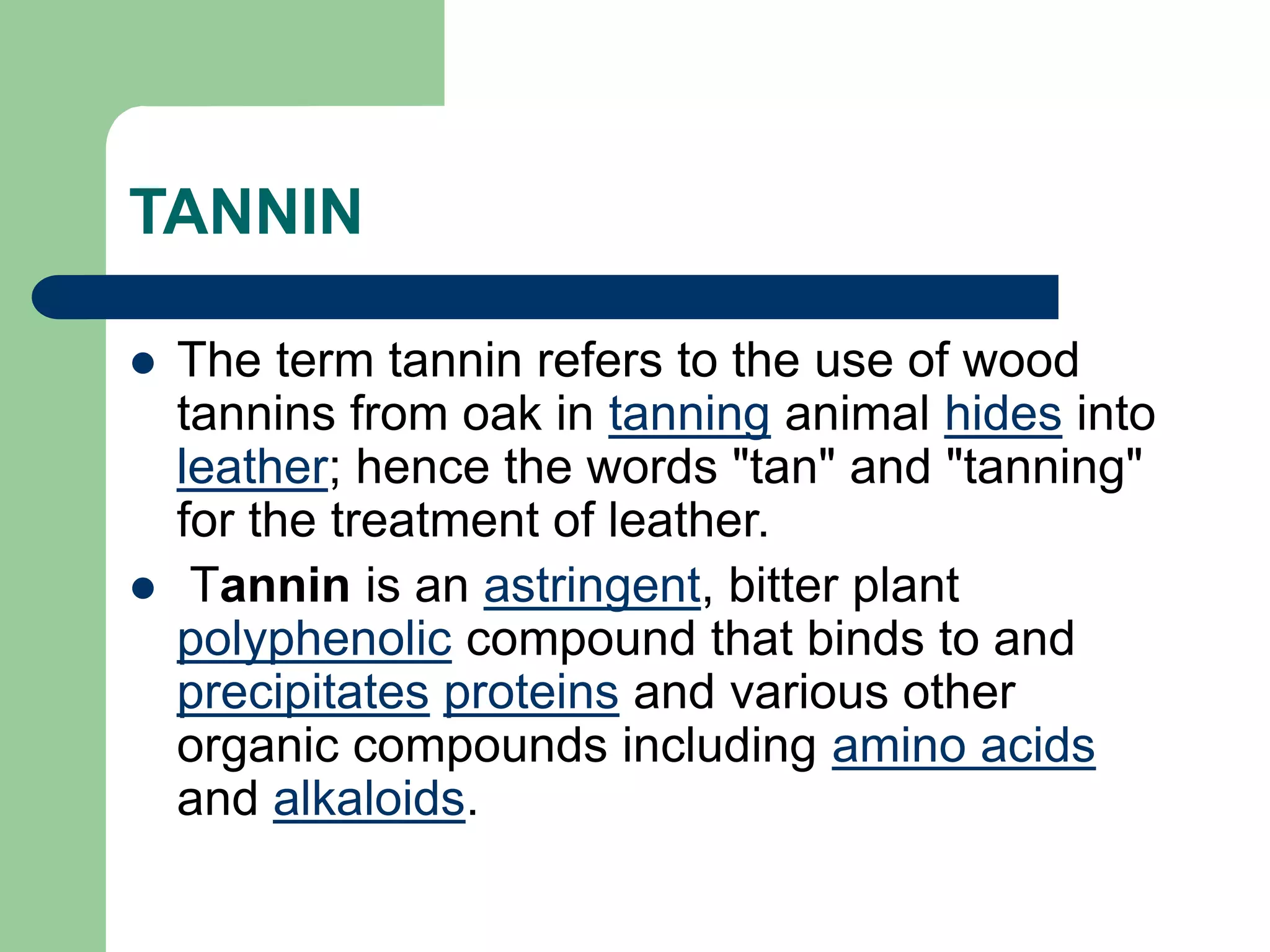 bactria and fungi new.pptx