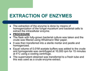 bactria and fungi new.pptx