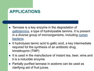 bactria and fungi new.pptx
