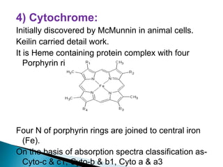 Bacterial electron transport chain and complexes in it | PPT