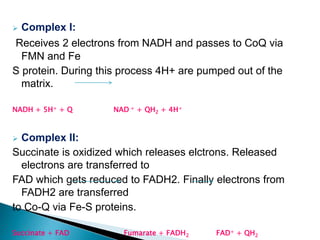 Bacterial electron transport chain and complexes in it | PPT