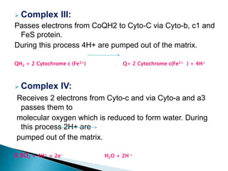 Bacterial electron transport chain and complexes in it | PPT