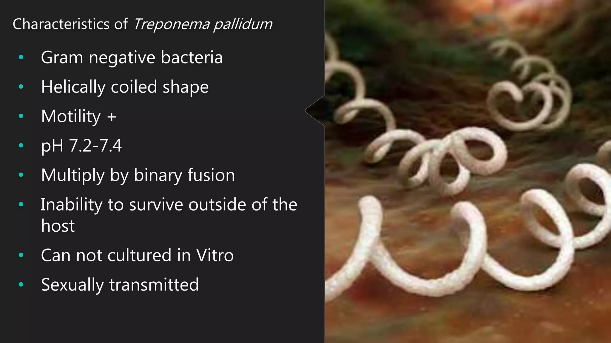 Syphilis(Treponema pallidum) | PPTX