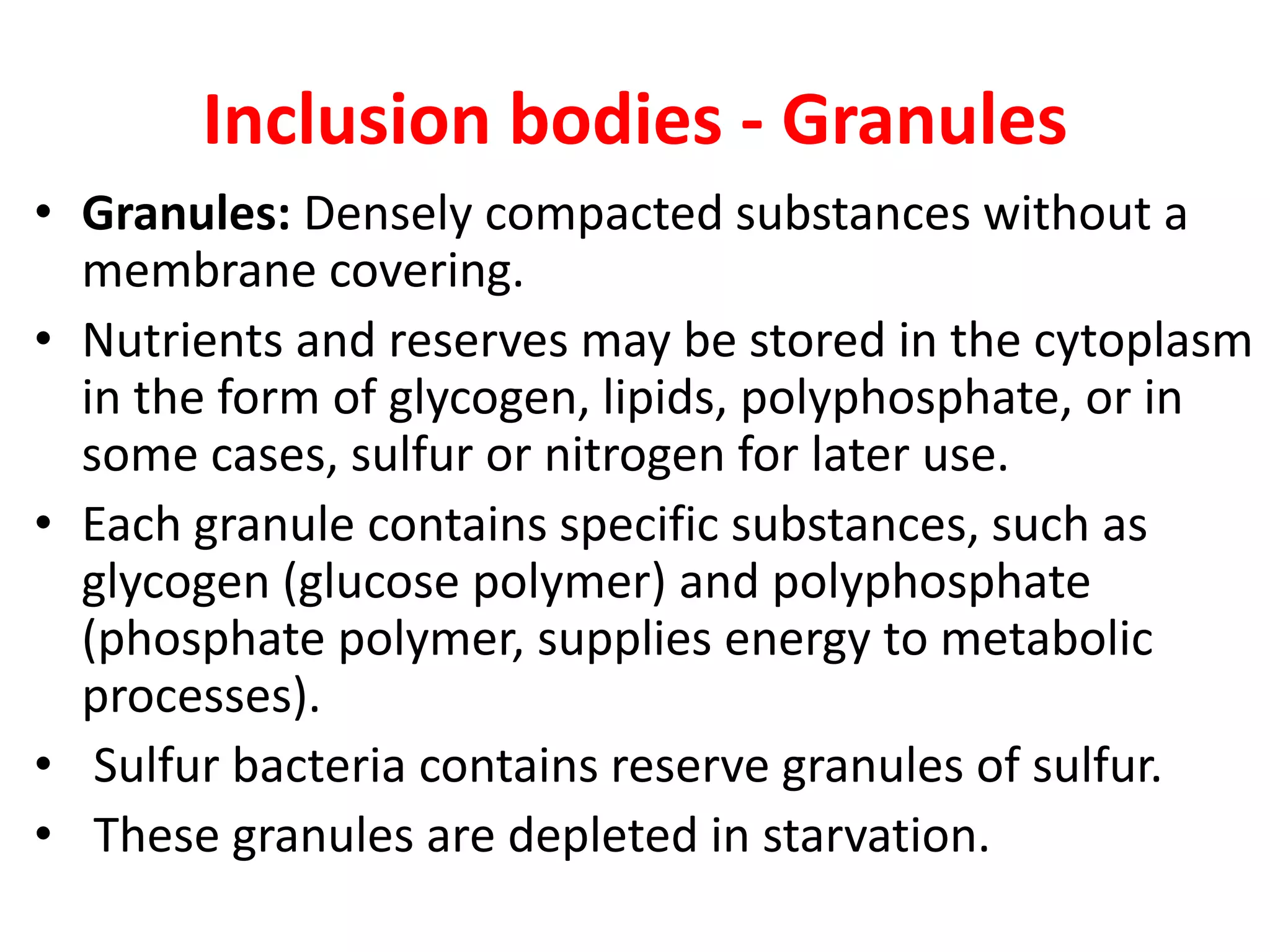 Bacteria, Bacteria Structure | PPTX