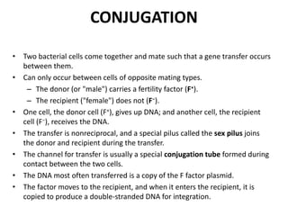 Bacteria, Bacteria Structure | PPTX