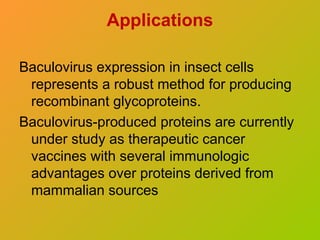 baculoviruses as an efficient viral vector | PPT