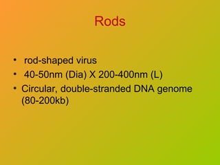 baculoviruses as an efficient viral vector | PPT