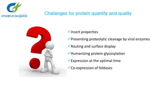 Baculovirus-efficient tool for protein expression | PPTX