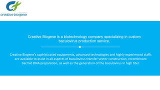 Baculovirus-efficient tool for protein expression | PPTX