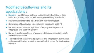 Baculoviral vector Applications | PPT