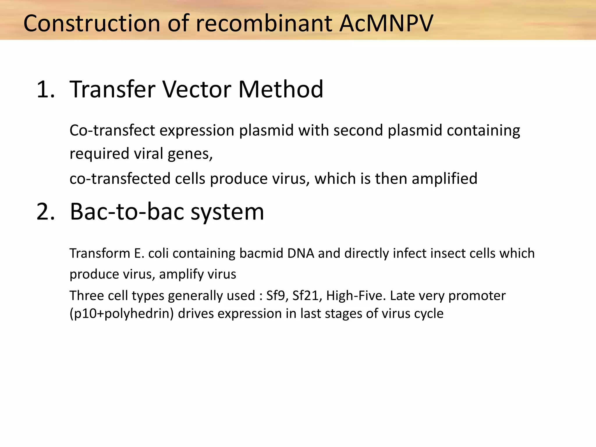 Baculovirus expression vector system | PPTX
