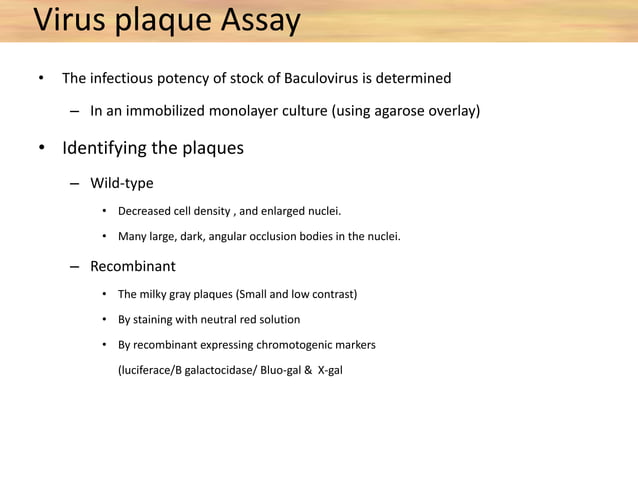 Baculovirus expression vector system | PPTX