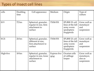 Baculovirus expression vector system | PPTX