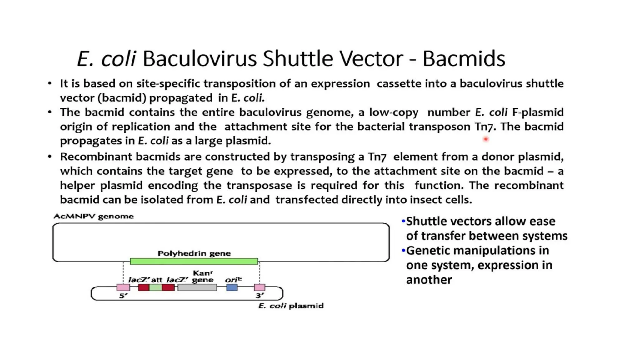 Baculovirus expression vector system.pptx