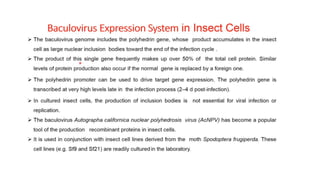 Baculovirus expression vector system.pptx | Infectious Diseases | Diseases and Conditions
