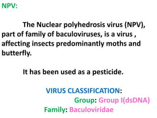 Baculovirus npv | PPTX