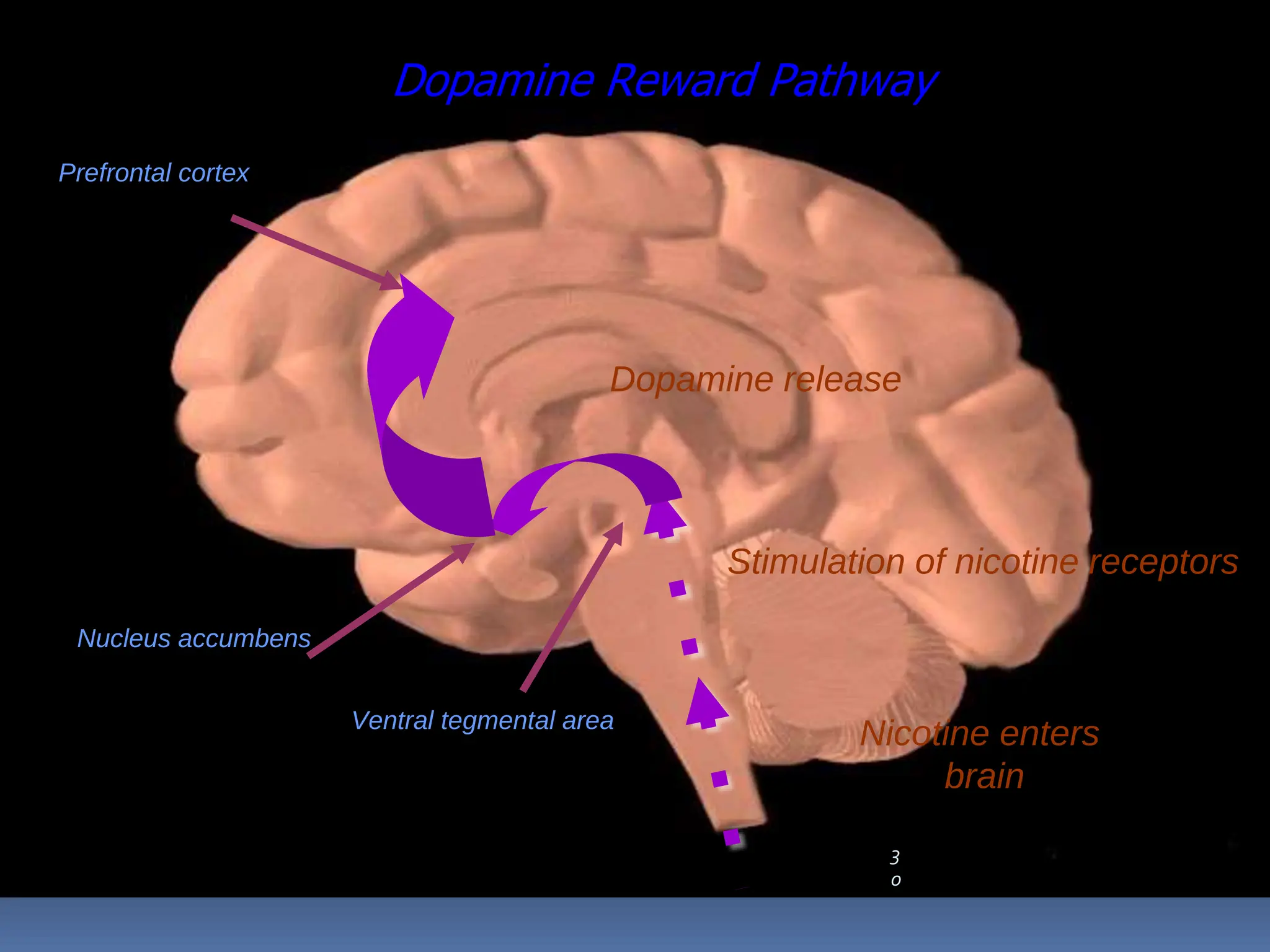 Bad-Effects-of-Cig-and-E-Cig.pptx