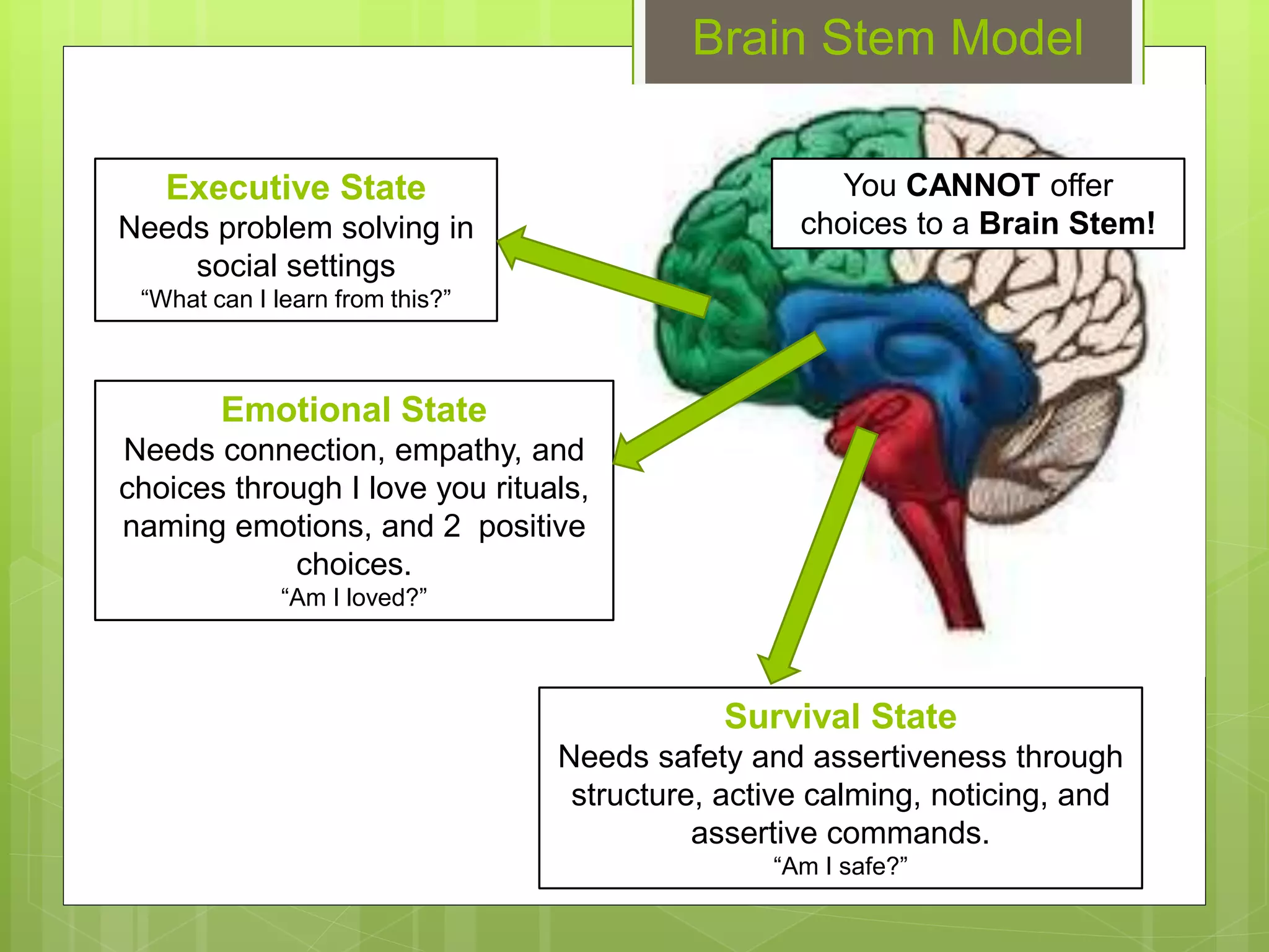 Conscious Discipline - Behavior and the Brain | PPTX
