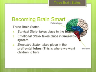 Conscious Discipline - Behavior and the Brain | PPTX