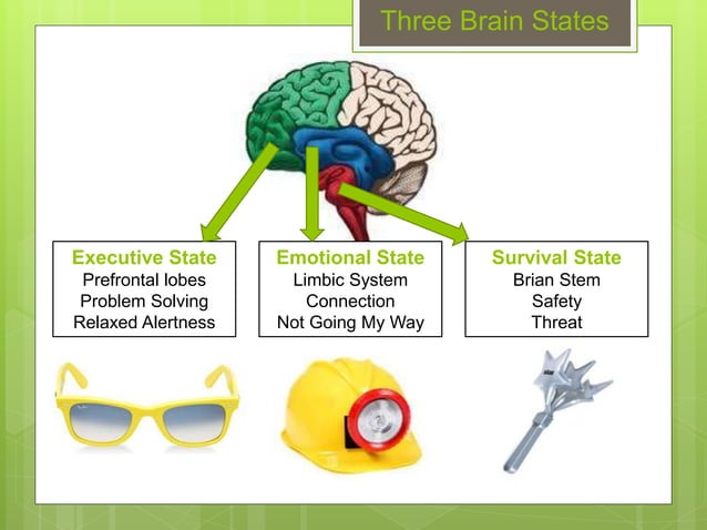 Conscious Discipline - Behavior and the Brain | PPTX
