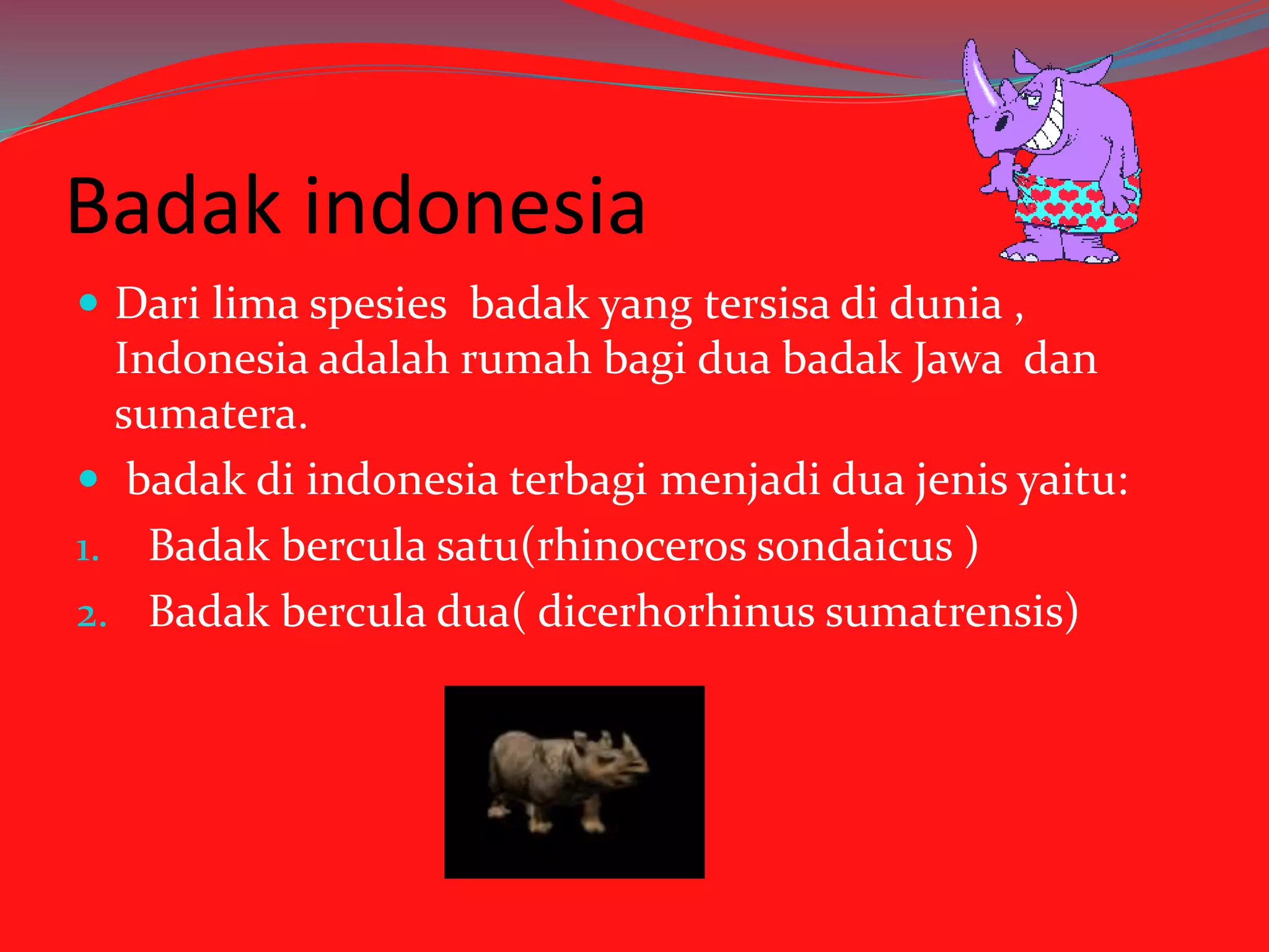 Badak sumatera | PPT