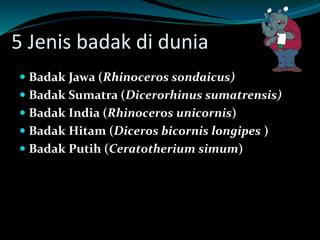 Badak sumatera | PPT