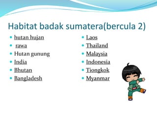 Badak sumatera | PPT