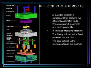 presentation on mould | PPT