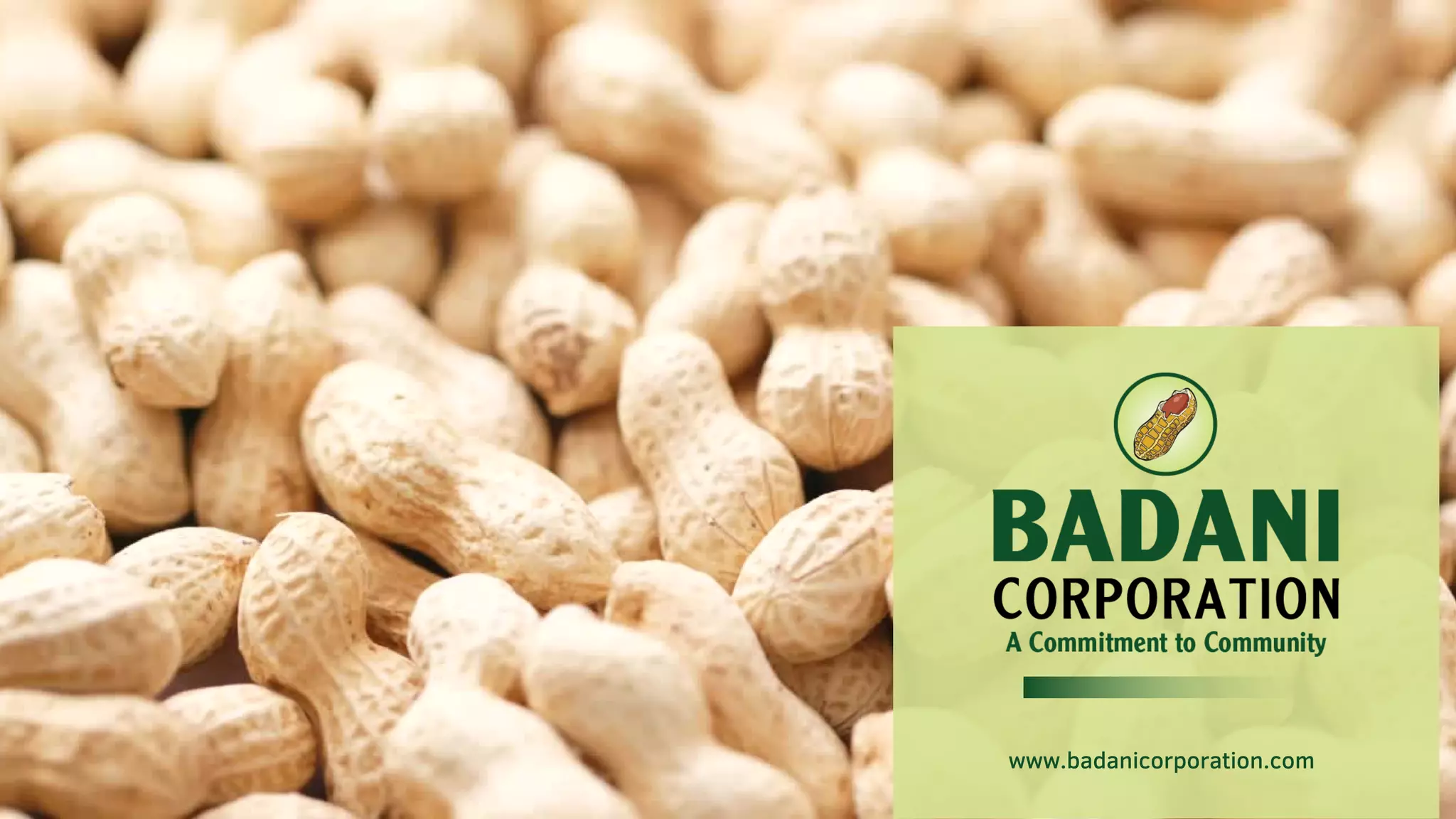 Badani Corporation - Manufacturers & Processors | PDF