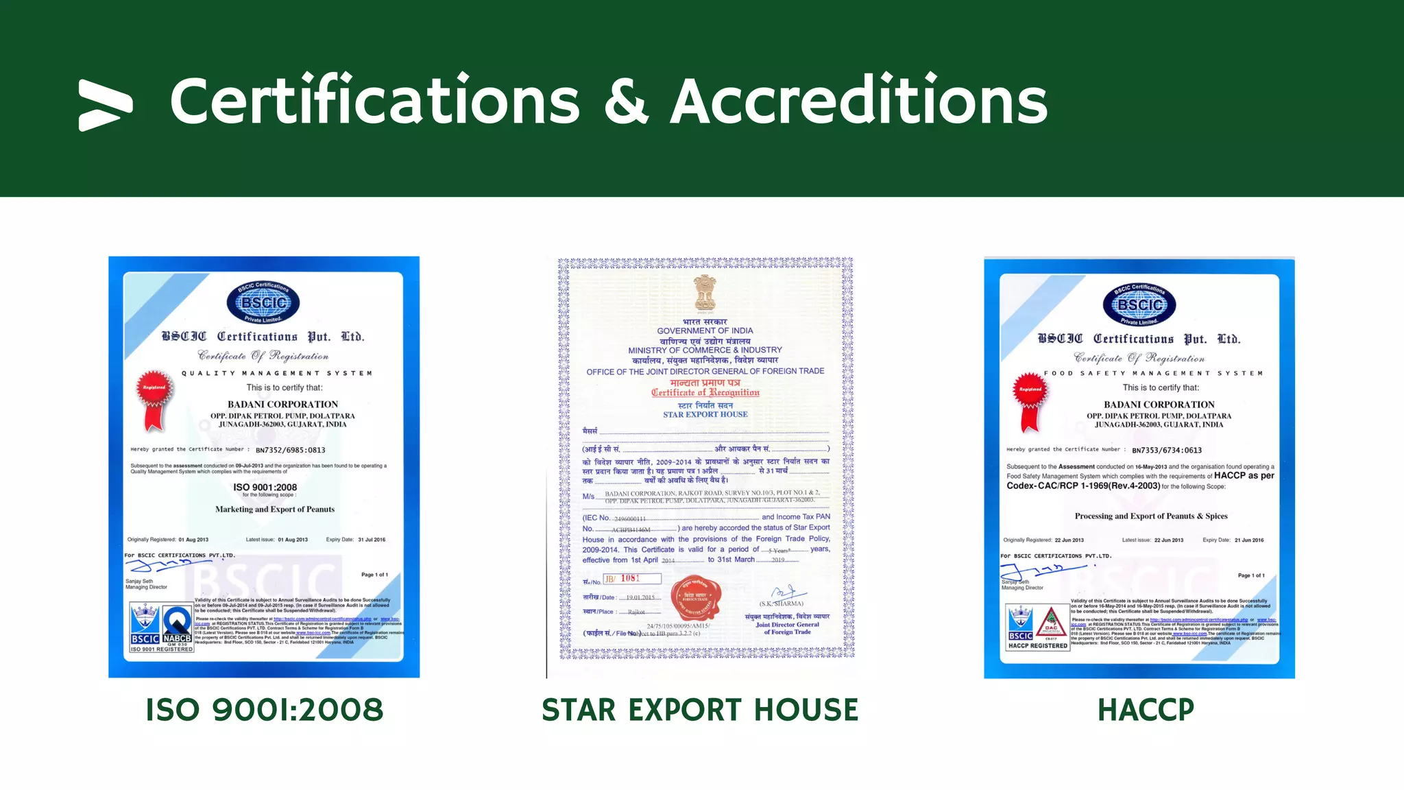 Badani Corporation - Manufacturers & Processors | PDF