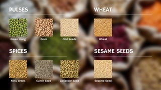 Badani Corporation - Manufacturers & Processors | PDF