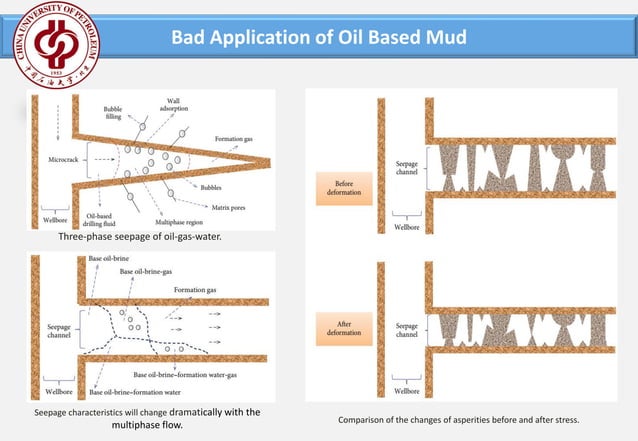 Bad Applications of Oil-Based Mud (OBM) Fluid | PDF | Geology | Science