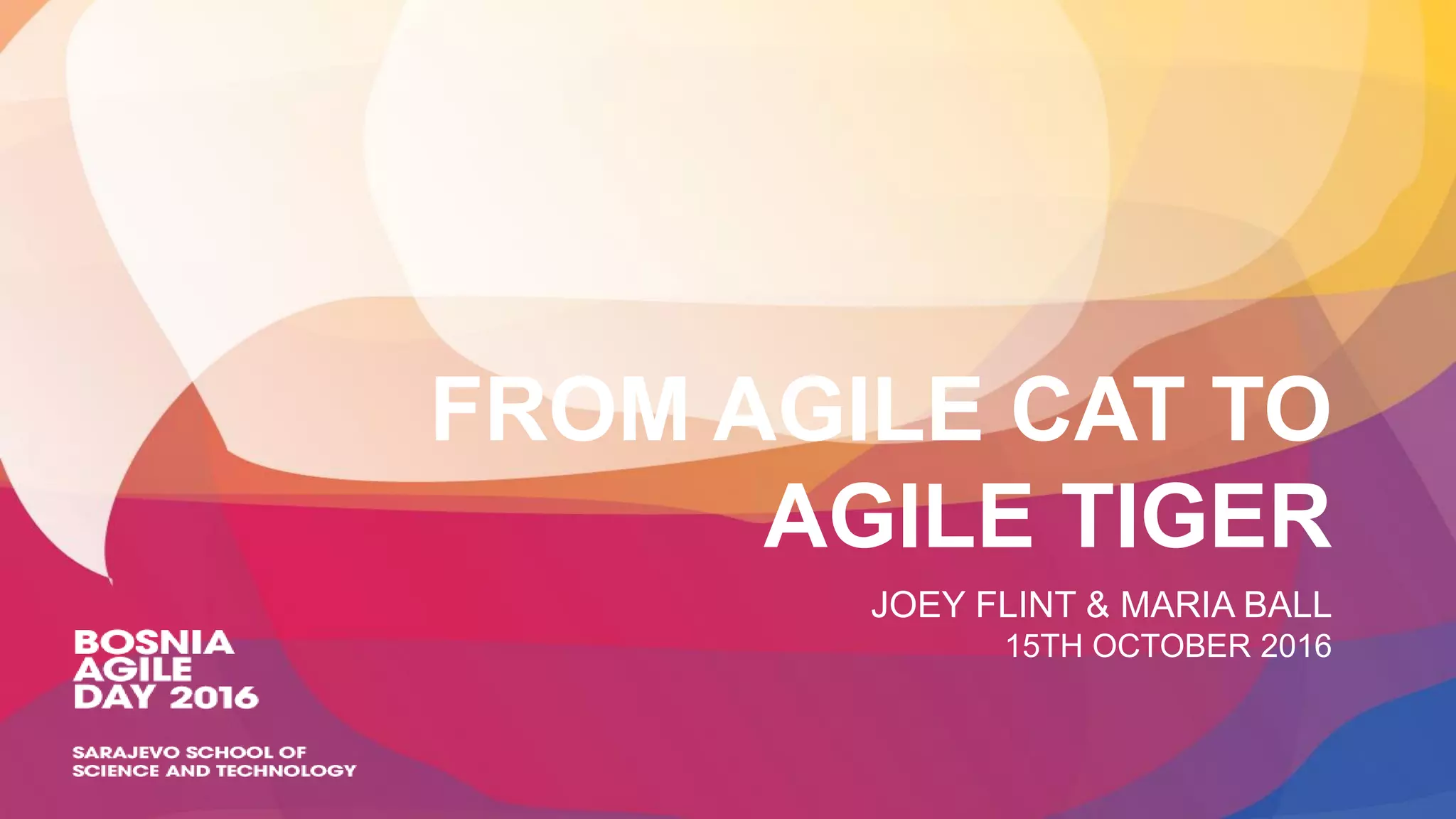 From Agile Cat to Agile Tiger by Joey Flint and Maria Ball | PPT