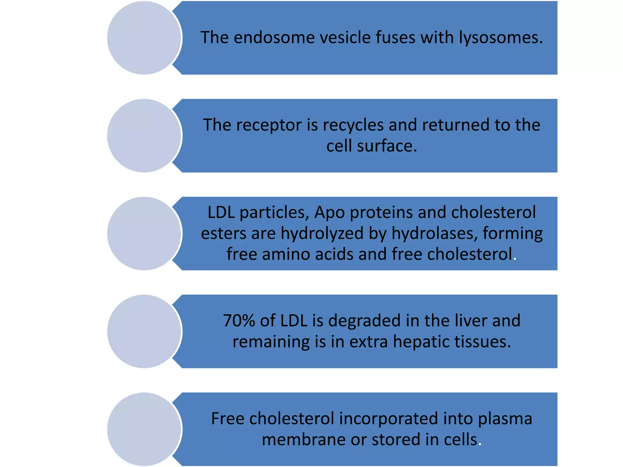metabolism of LDL, IDL and HDL | PPTX