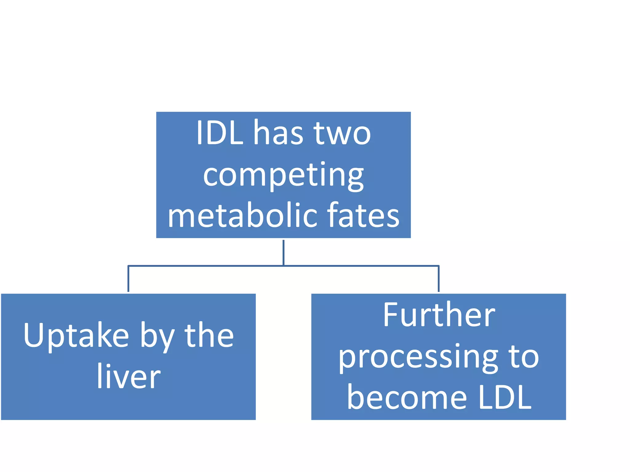 metabolism of LDL, IDL and HDL | PPTX