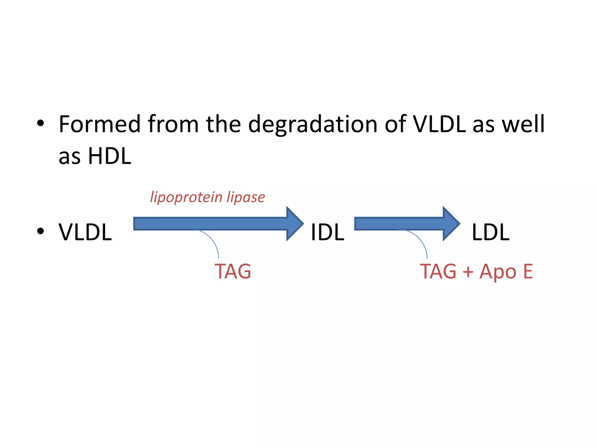 metabolism of LDL, IDL and HDL | PPTX