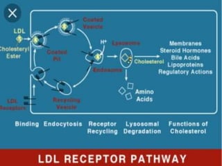 metabolism of LDL, IDL and HDL | PPTX