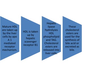 metabolism of LDL, IDL and HDL | PPTX