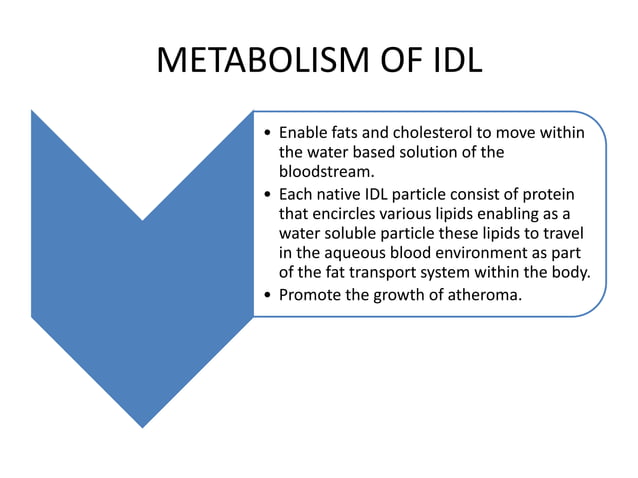 metabolism of LDL, IDL and HDL | PPTX | Chemistry | Science