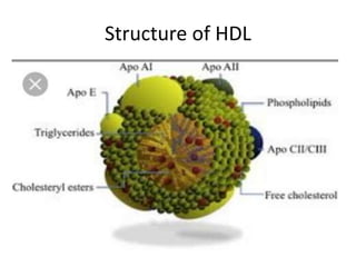 Ldl Cholesterol Structure