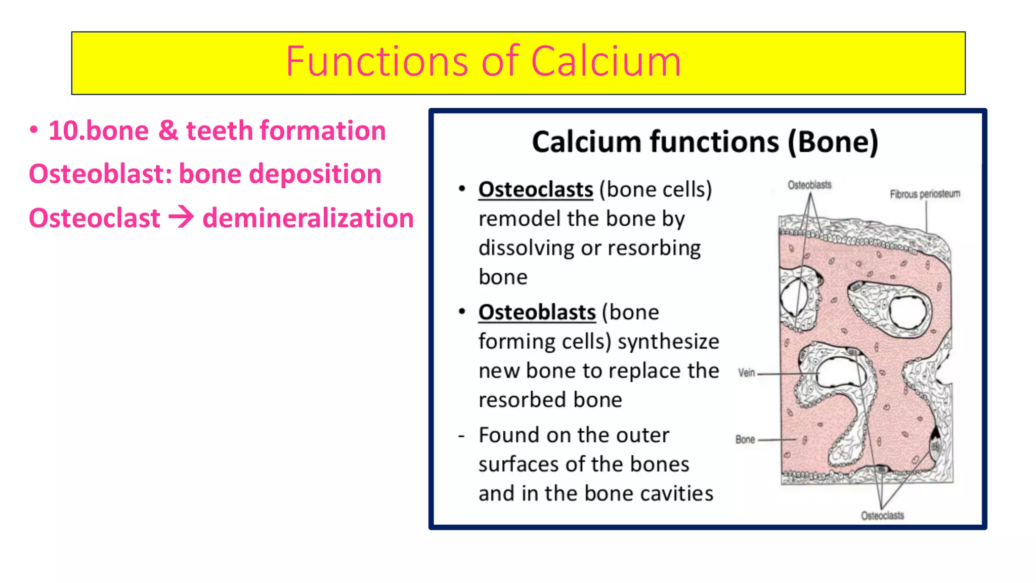Calcium metabolism and its clinical significance | PDF