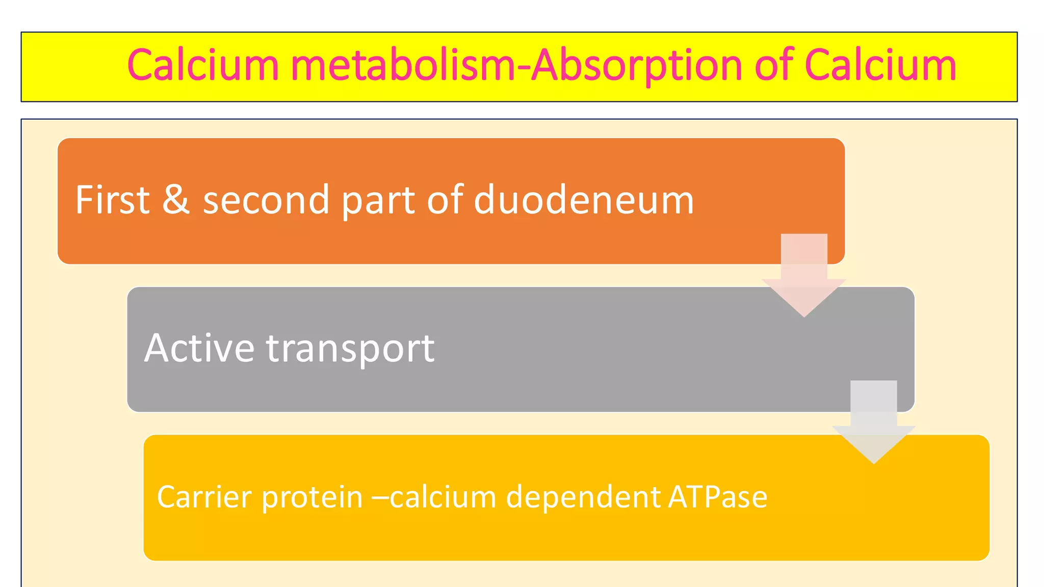 Calcium metabolism and its clinical significance | PDF