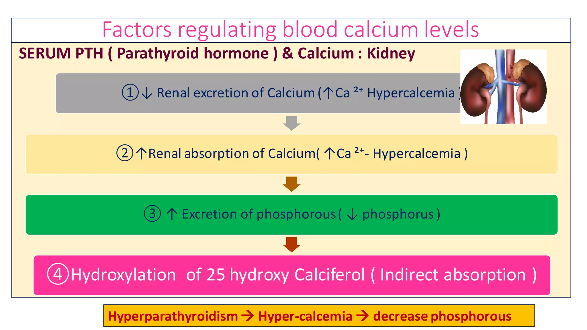 Calcium metabolism and its clinical significance | PDF
