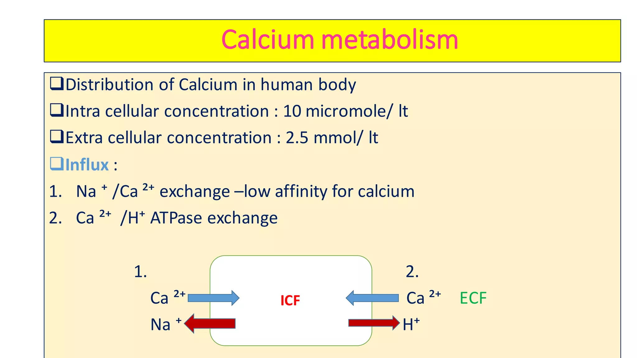 Calcium metabolism and its clinical significance | PDF