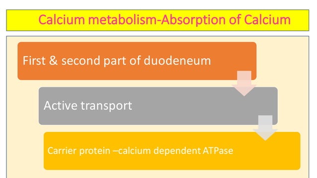 Calcium metabolism and its clinical significance | PDF