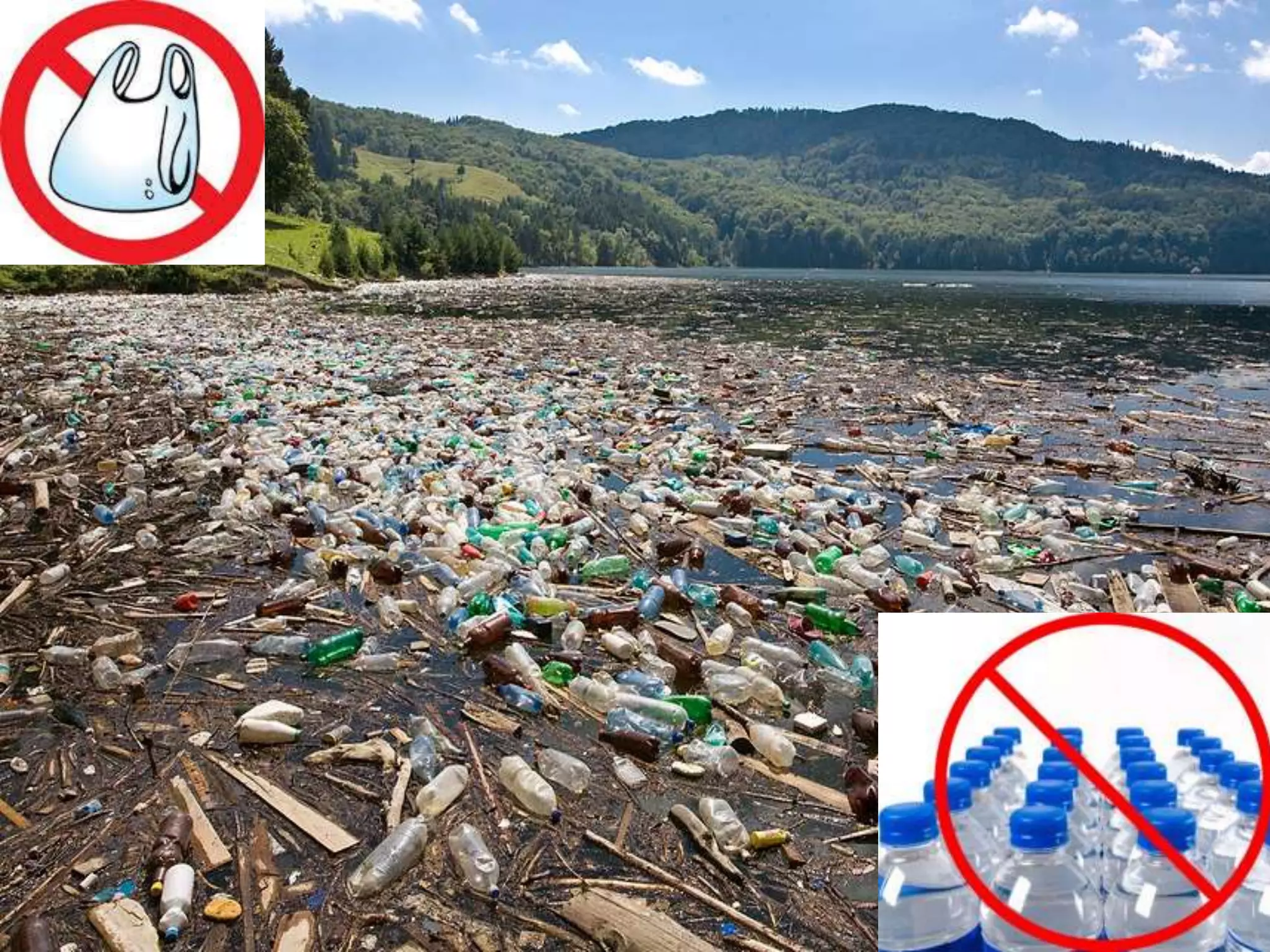 Bad effects of plastics | PPTX